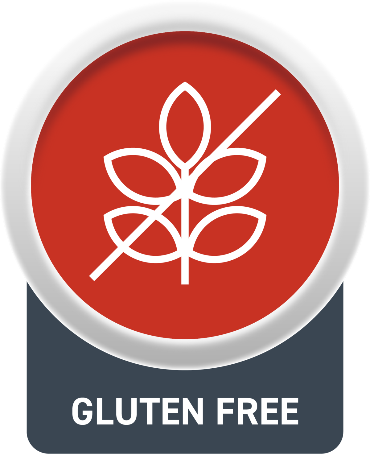 INC Plant Protein Vanilla – INC SPORTS NUTRITION